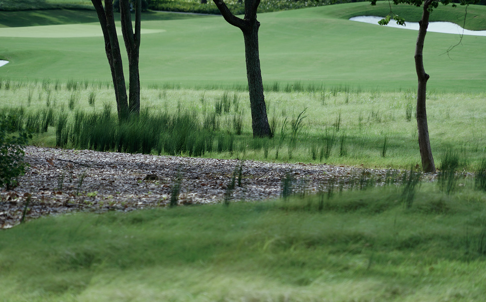 West Lake Golf landscape design by NCD Studio - 谷德设计网