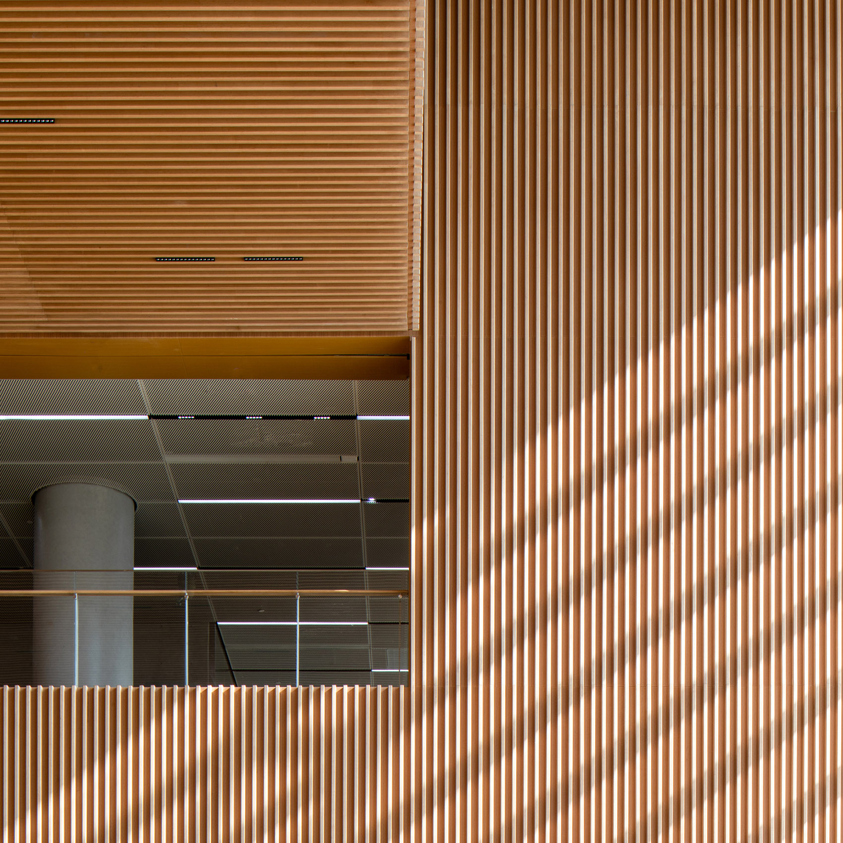 Shanghai Library East by Schmidt Hammer Lassen Architects - 谷德设计网