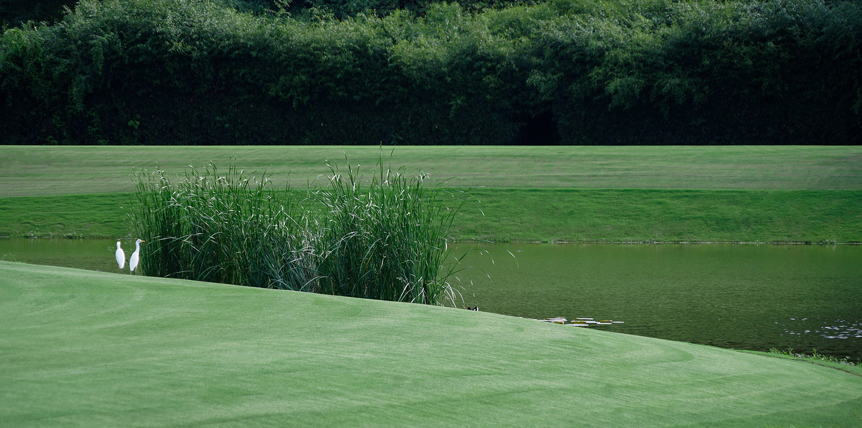 West Lake Golf landscape design by NCD Studio - 谷德设计网