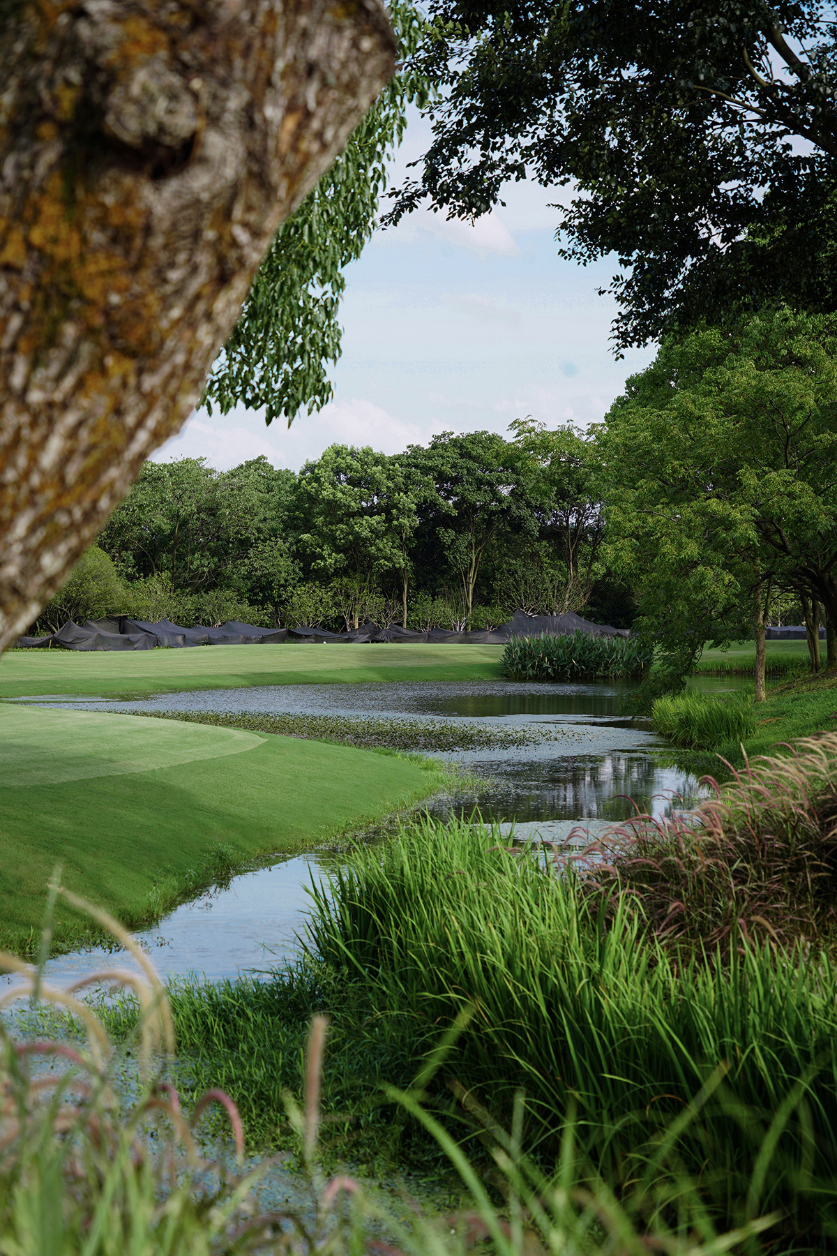 West Lake Golf landscape design by NCD Studio - 谷德设计网