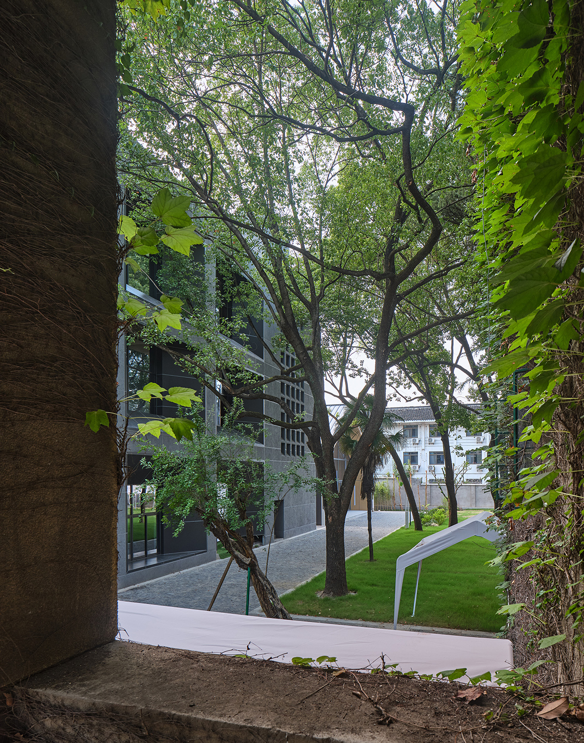 Golden Lion “Campus Lane” Creative Arts and Culture Park by Oumoumou ...