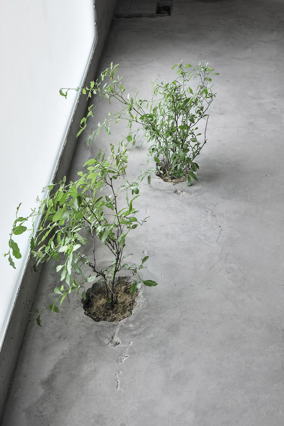 Linsheng Studio, Xiamen by DevolutioN - 谷德设计网