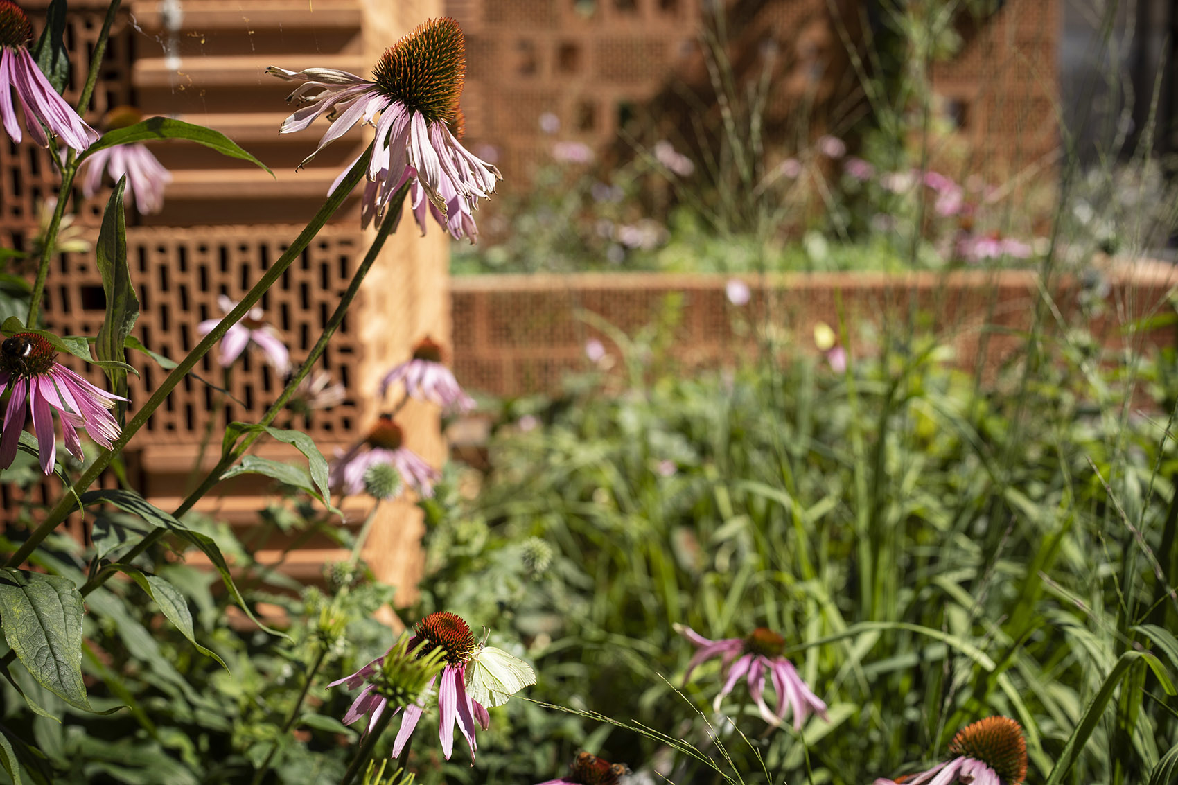 Alusta Pavilion, Helsinki by Suomi/Koivisto Architects - 谷德设计网