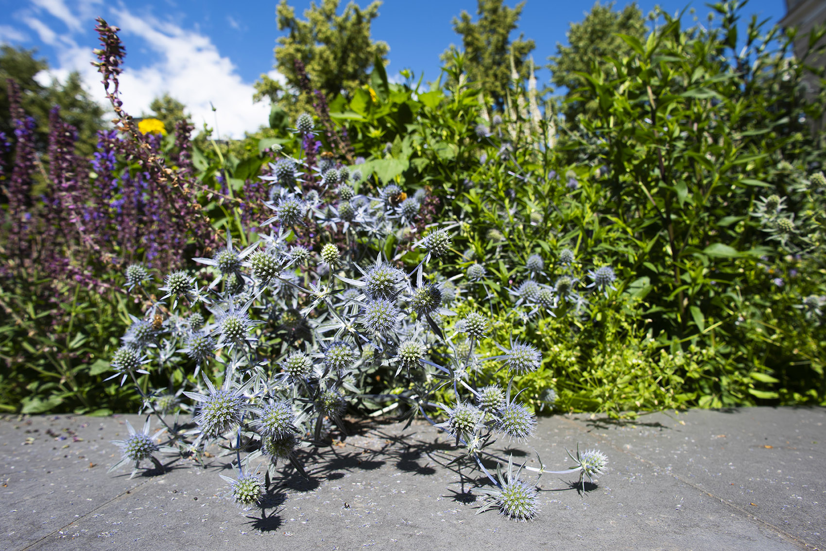 Alusta Pavilion, Helsinki by Suomi/Koivisto Architects - 谷德设计网