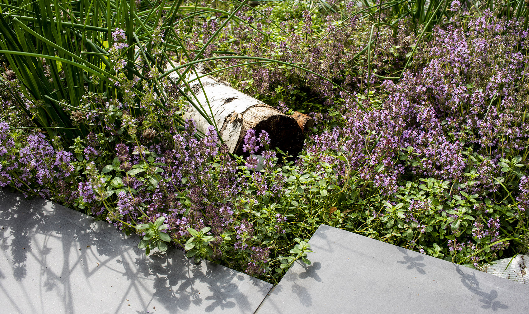 Alusta Pavilion, Helsinki by Suomi/Koivisto Architects - 谷德设计网