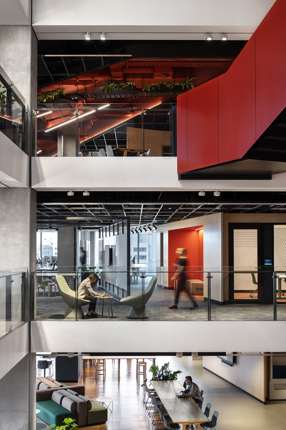 NAB 3 Parramatta Square & NAB 2 Carrington St by Woods Bagot - 谷德设计网