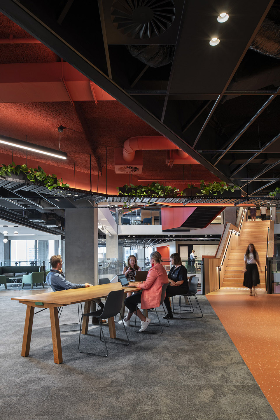 NAB 3 Parramatta Square & NAB 2 Carrington St by Woods Bagot - 谷德设计网