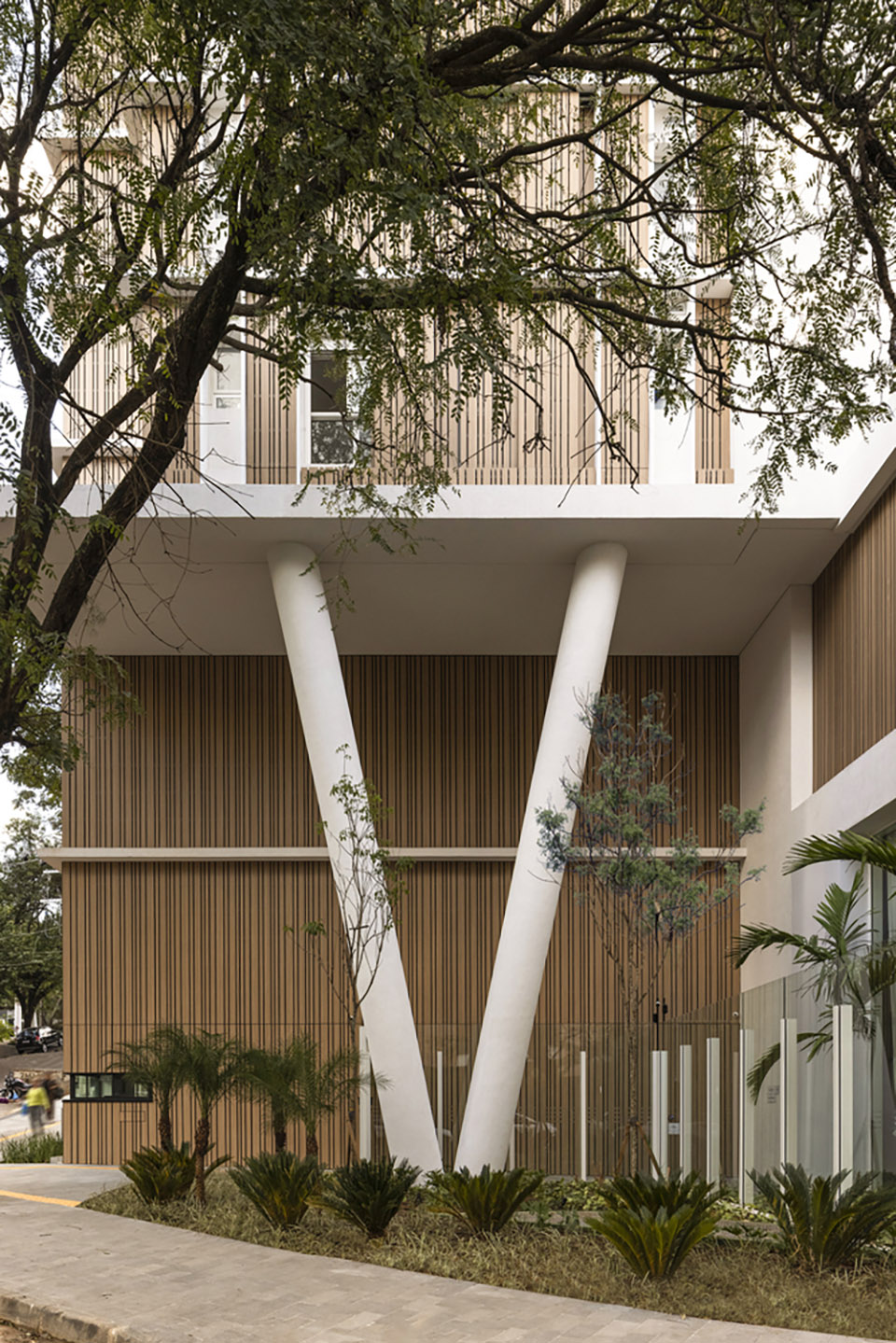 Oscar Ibirapuera Project, São Paulo by Perkins&Will - 谷德设计网
