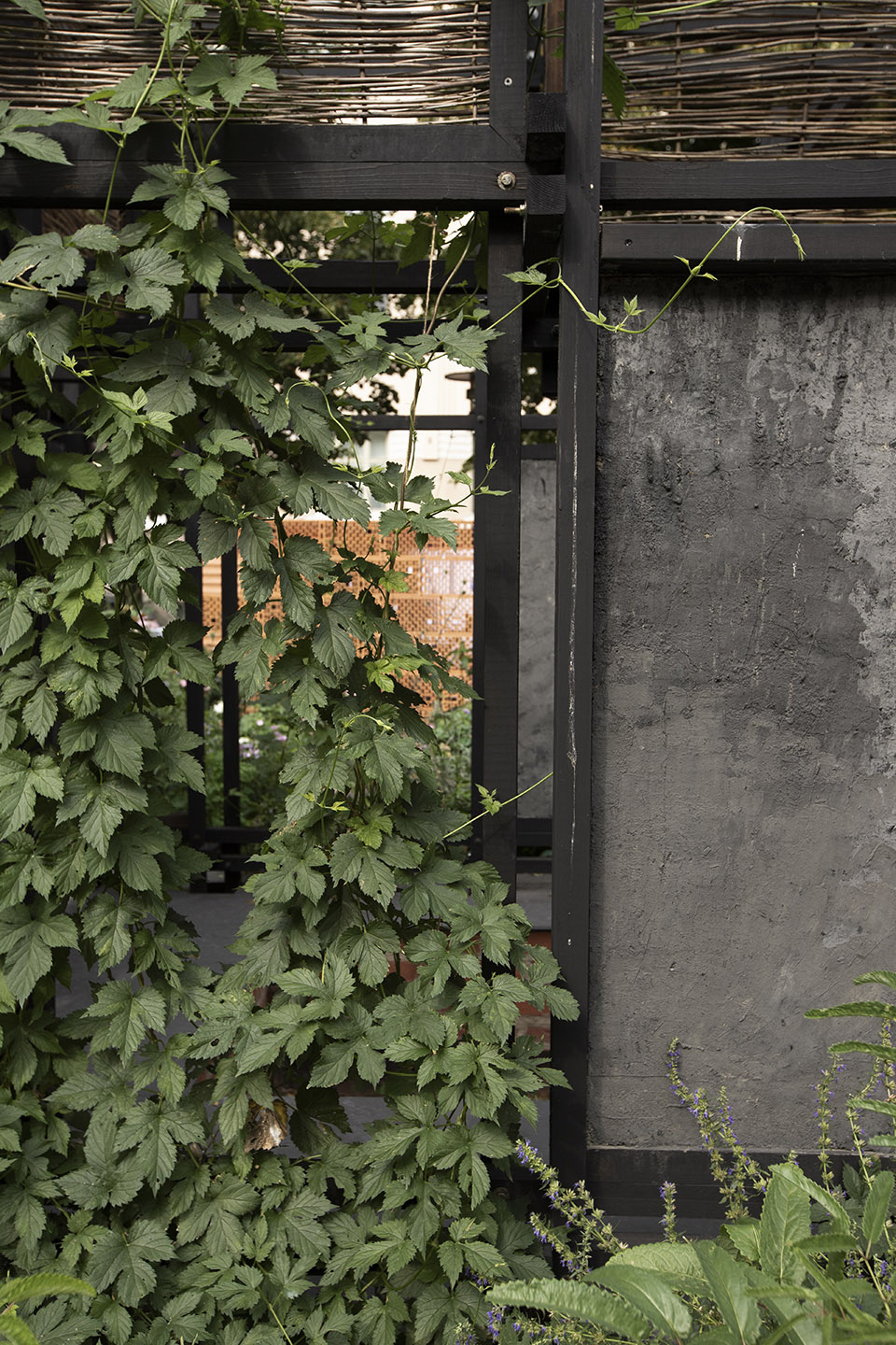 Alusta Pavilion, Helsinki by Suomi/Koivisto Architects - 谷德设计网