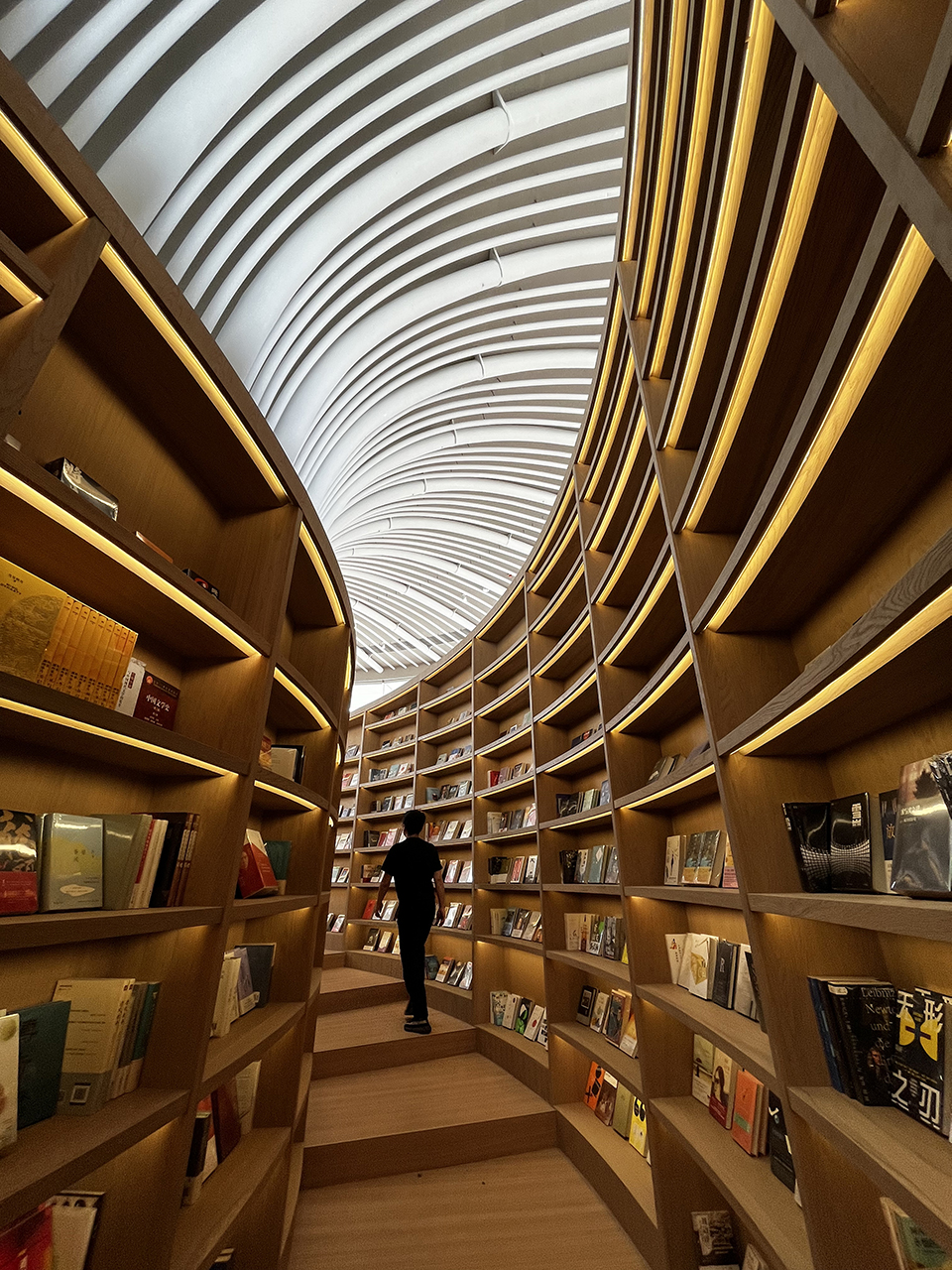 Zhiye Library, Eastern New Area, Chengdu by China Southwest ...