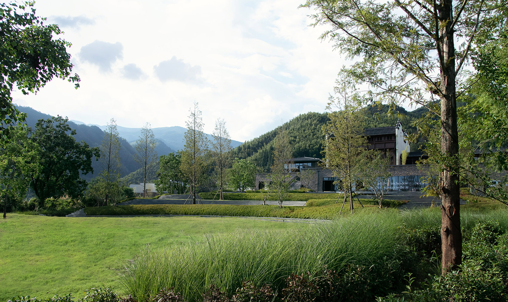 Huangshan Banyan Tree-Huangshan Cultural Village by HANCS Landscape ...
