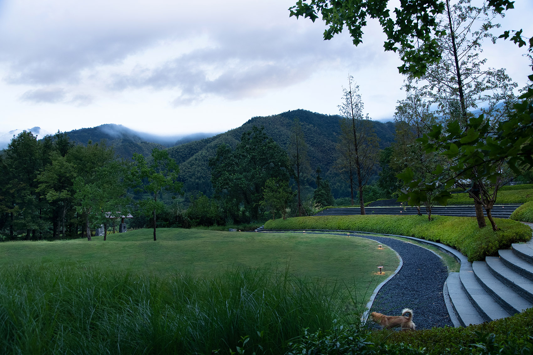 Huangshan Banyan Tree-Huangshan Cultural Village by HANCS Landscape ...