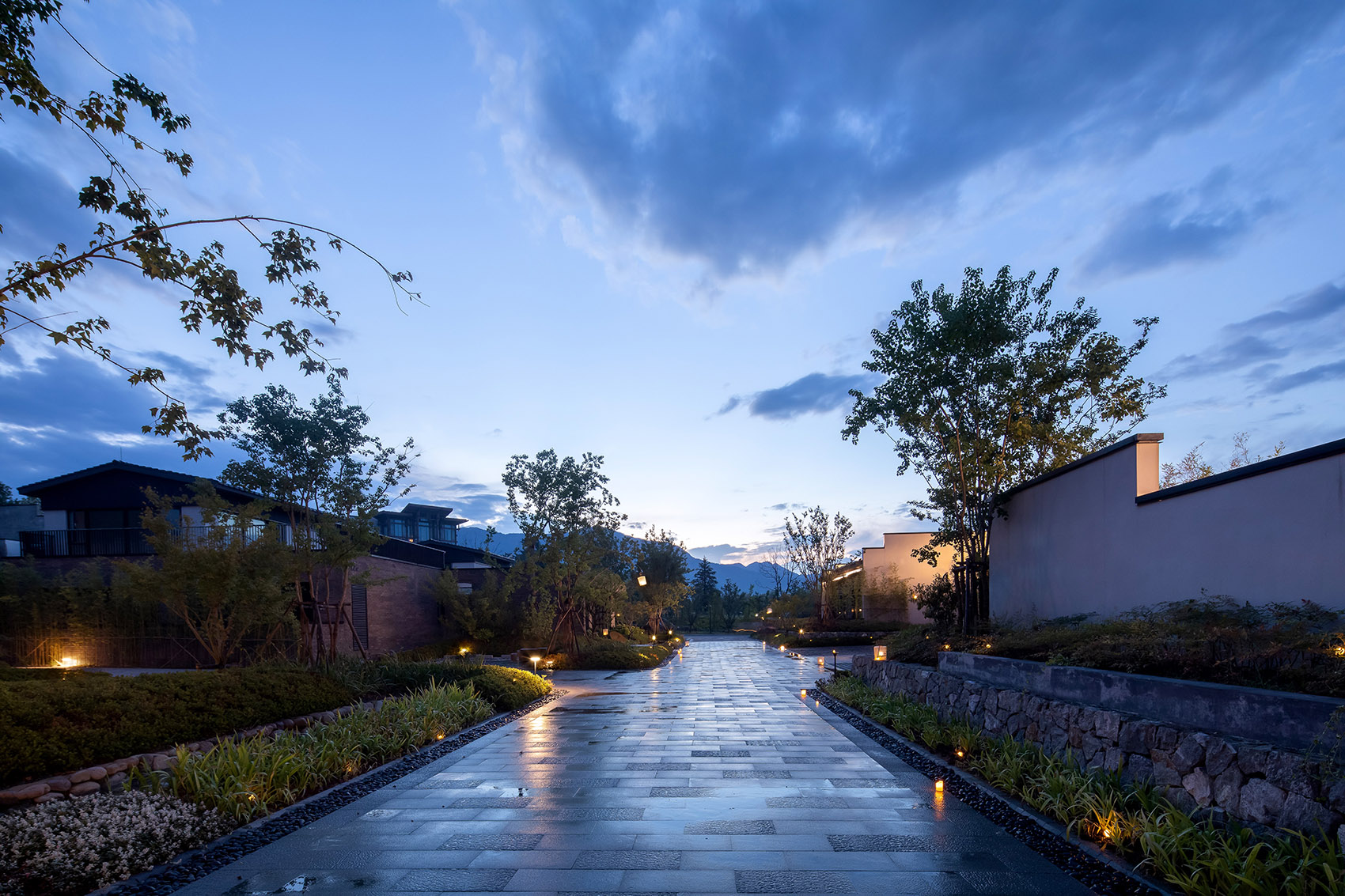 Huangshan Banyan Tree-Huangshan Cultural Village by HANCS Landscape ...