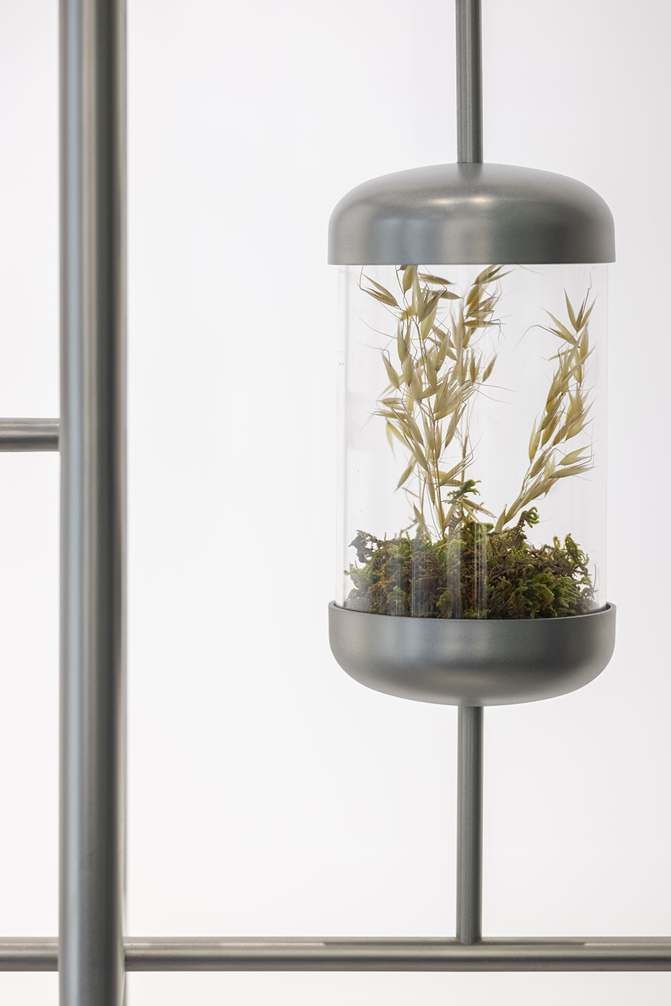 Super Seed Concept Store, China by F.O.G. Architecture - 谷德设计网