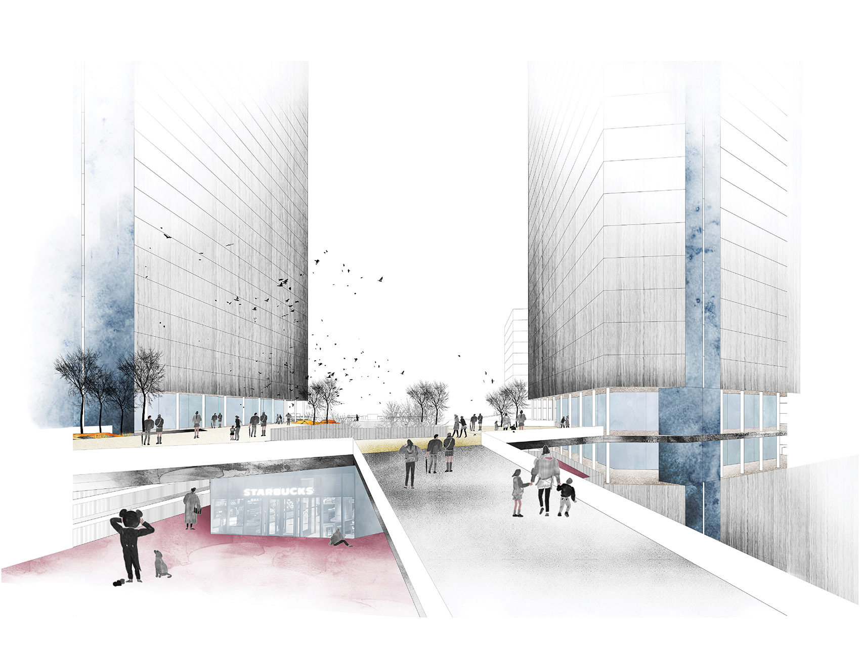 Overseas NO.115: Chendi Zhang - 谷德设计网