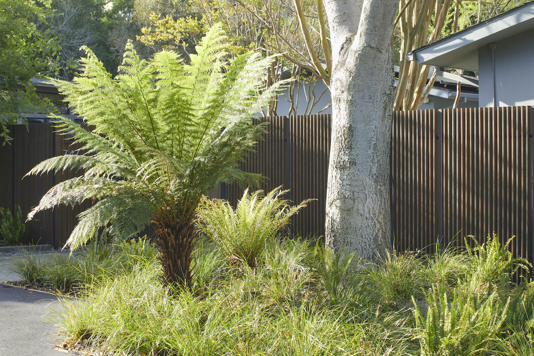 Breezy Landscape In A Japanese-Inspired Retreat By SAW - 谷德设计网