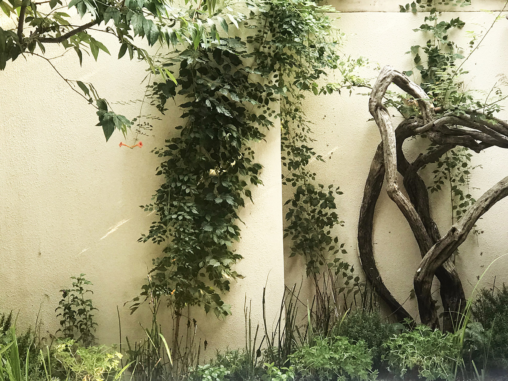 To summer Infinity garden, Shanghai by YIYU Design - 谷德设计网