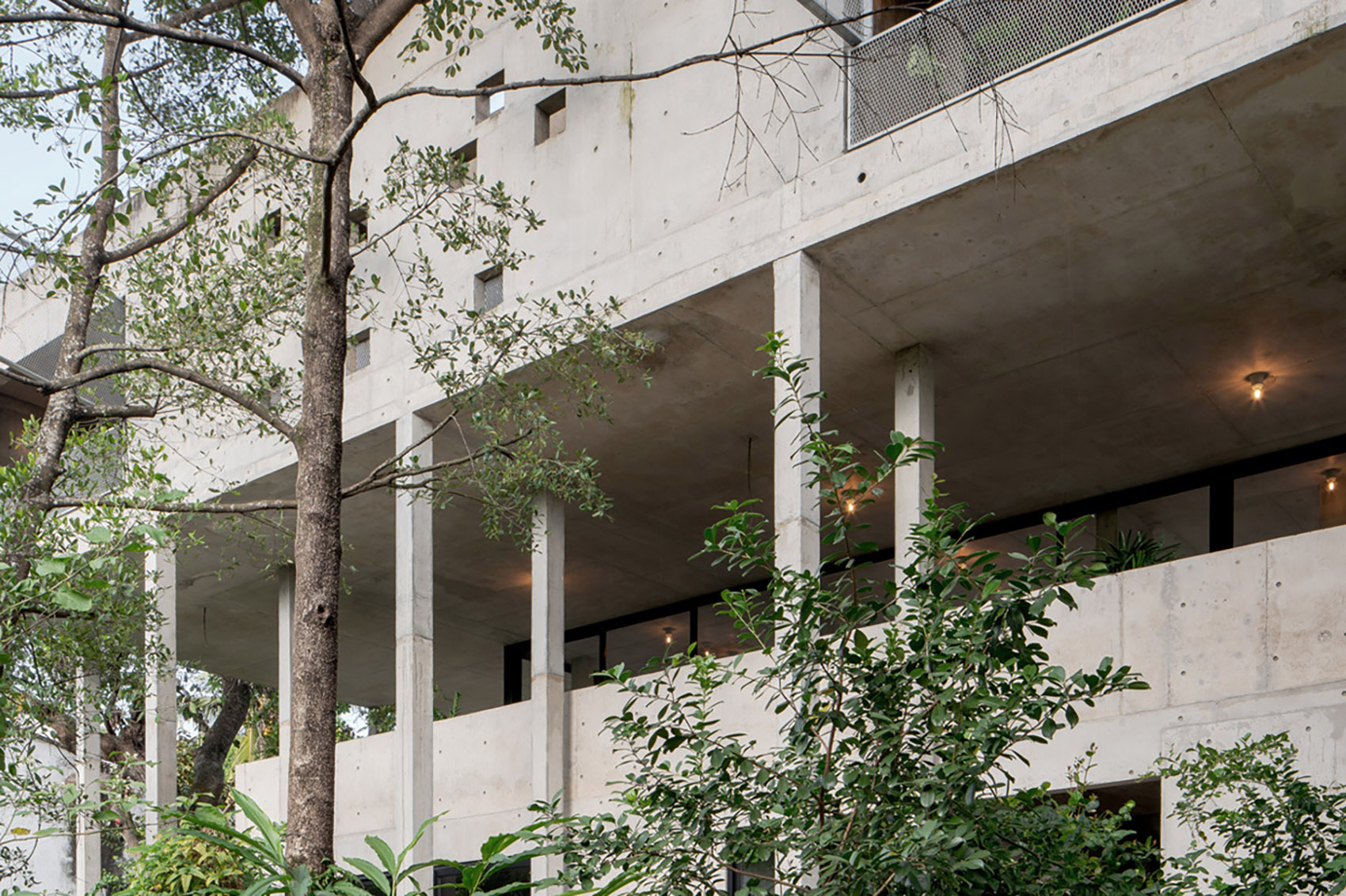 Big Trees Small Plants by ReAD Studio - 谷德设计网