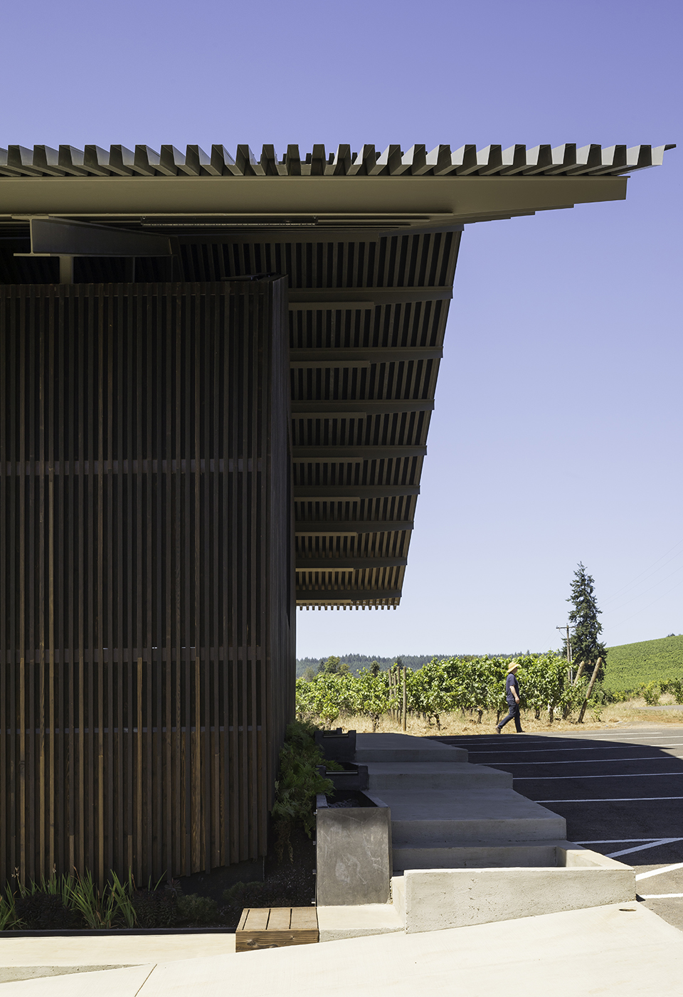 Furioso Vineyards by Waechter Architecture - 谷德设计网