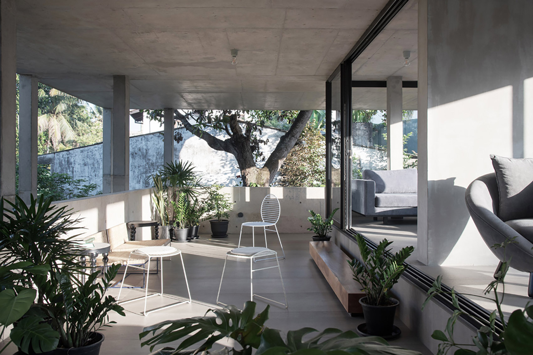 Big Trees Small Plants by ReAD Studio - 谷德设计网