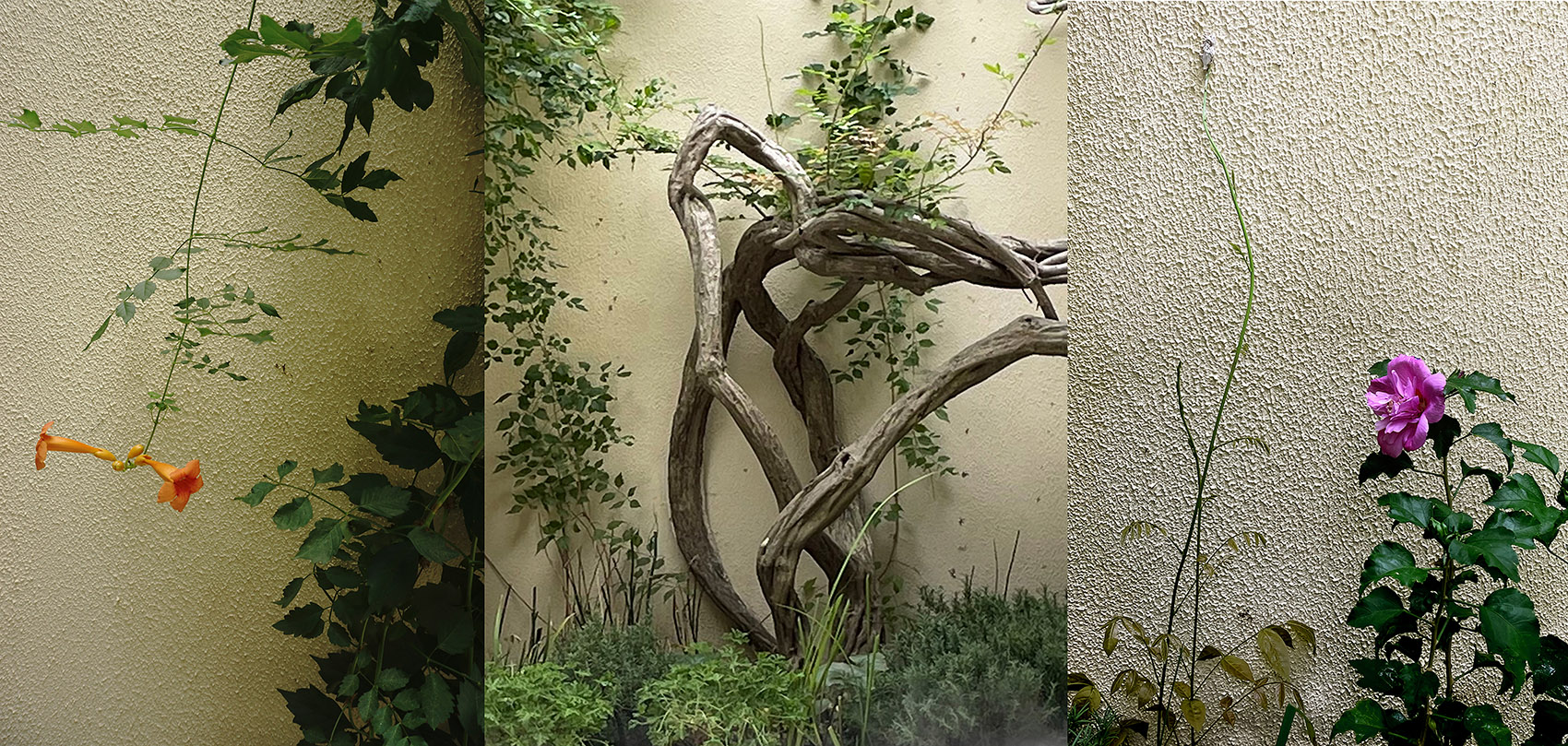 To summer Infinity garden, Shanghai by YIYU Design - 谷德设计网