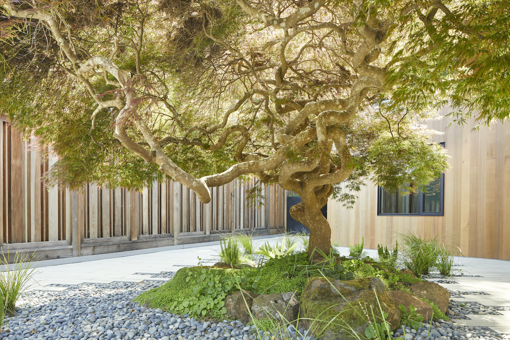 Breezy Landscape In A Japanese-Inspired Retreat By SAW - 谷德设计网