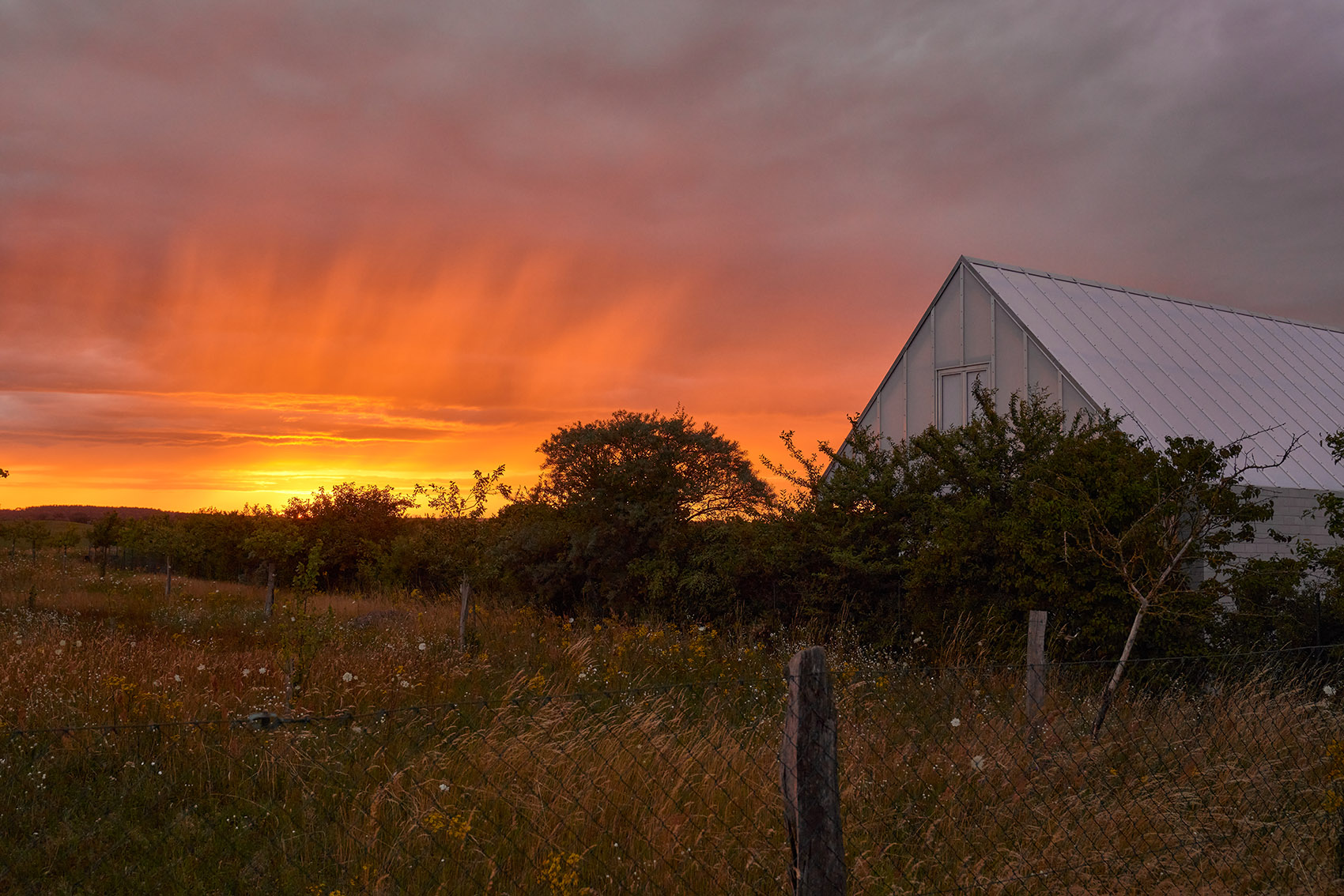 Das Glashaus by Sigurd Larsen - 谷德设计网