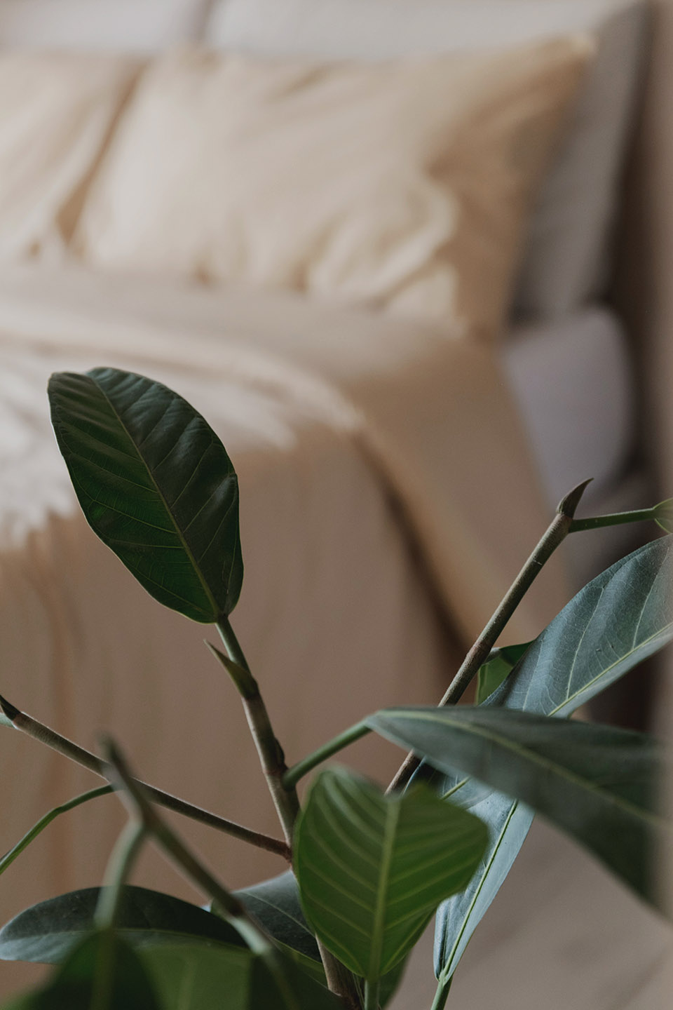 Clay House by Red Deer - 谷德设计网