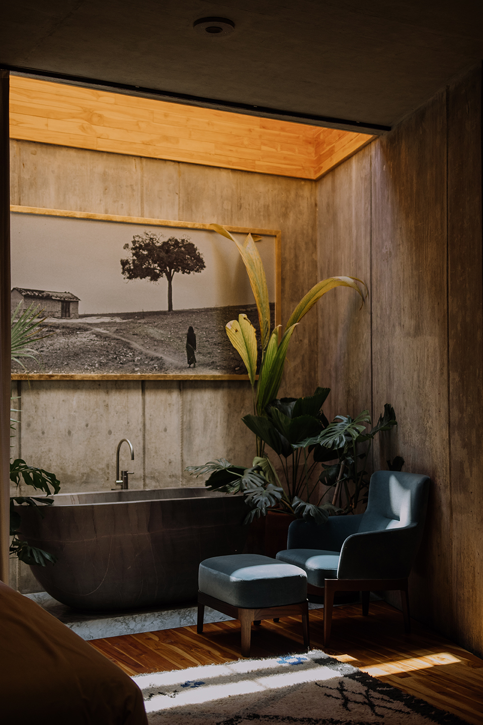 弗蕾维亚豪华酒店，墨西哥 / ROOTSTUDIO - 谷德设计网