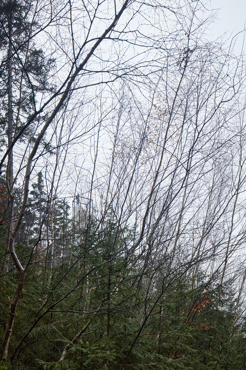 The Guard Patrol by Mjölk architekti - 谷德设计网