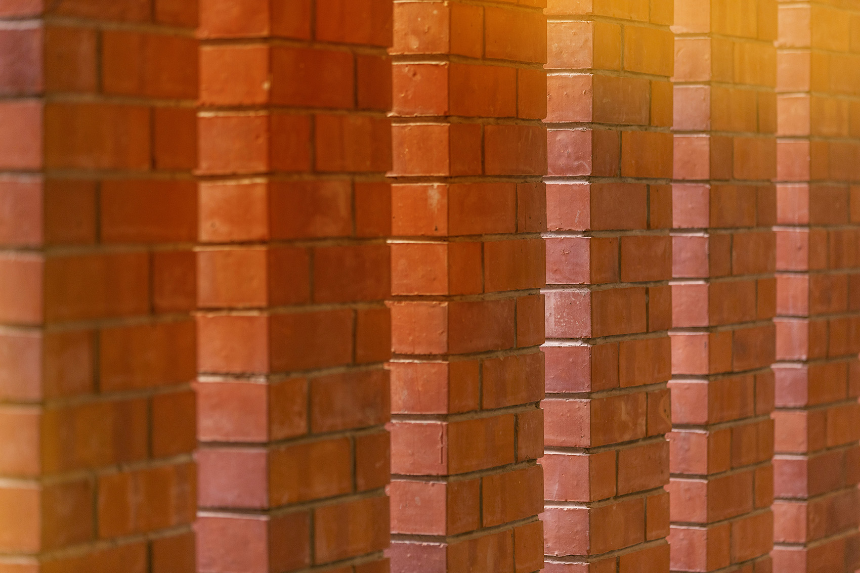 Max House, New Delhi by Studio Lotus - 谷德设计网