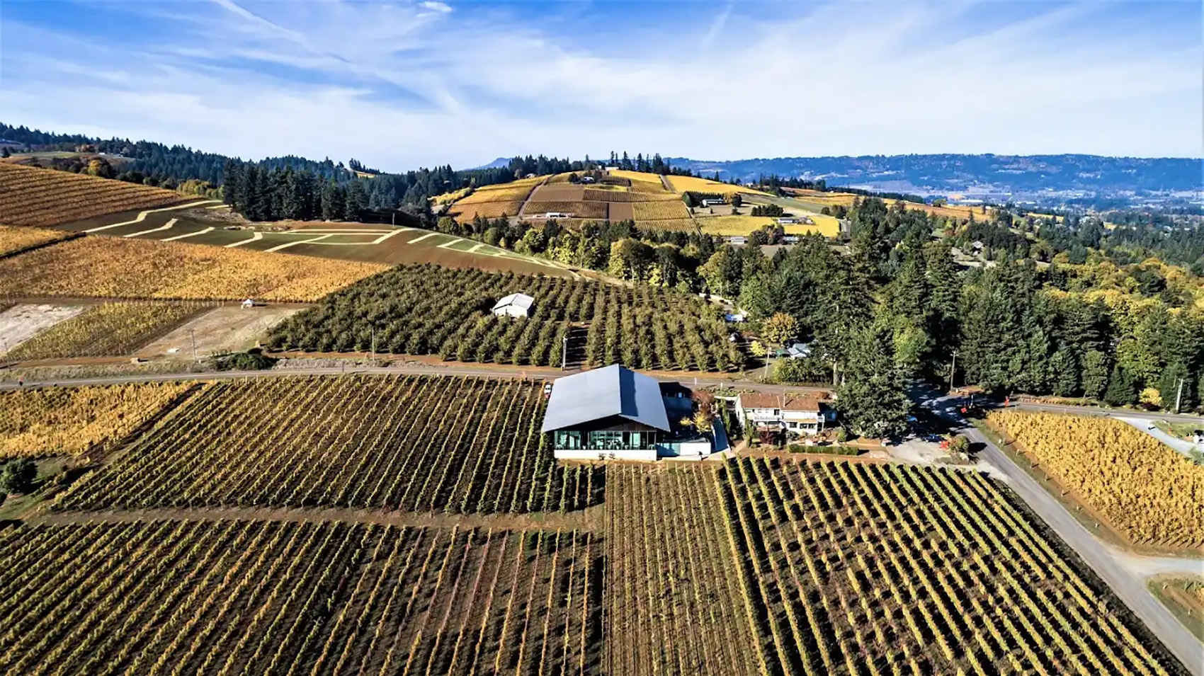 Furioso Vineyards by Waechter Architecture - 谷德设计网