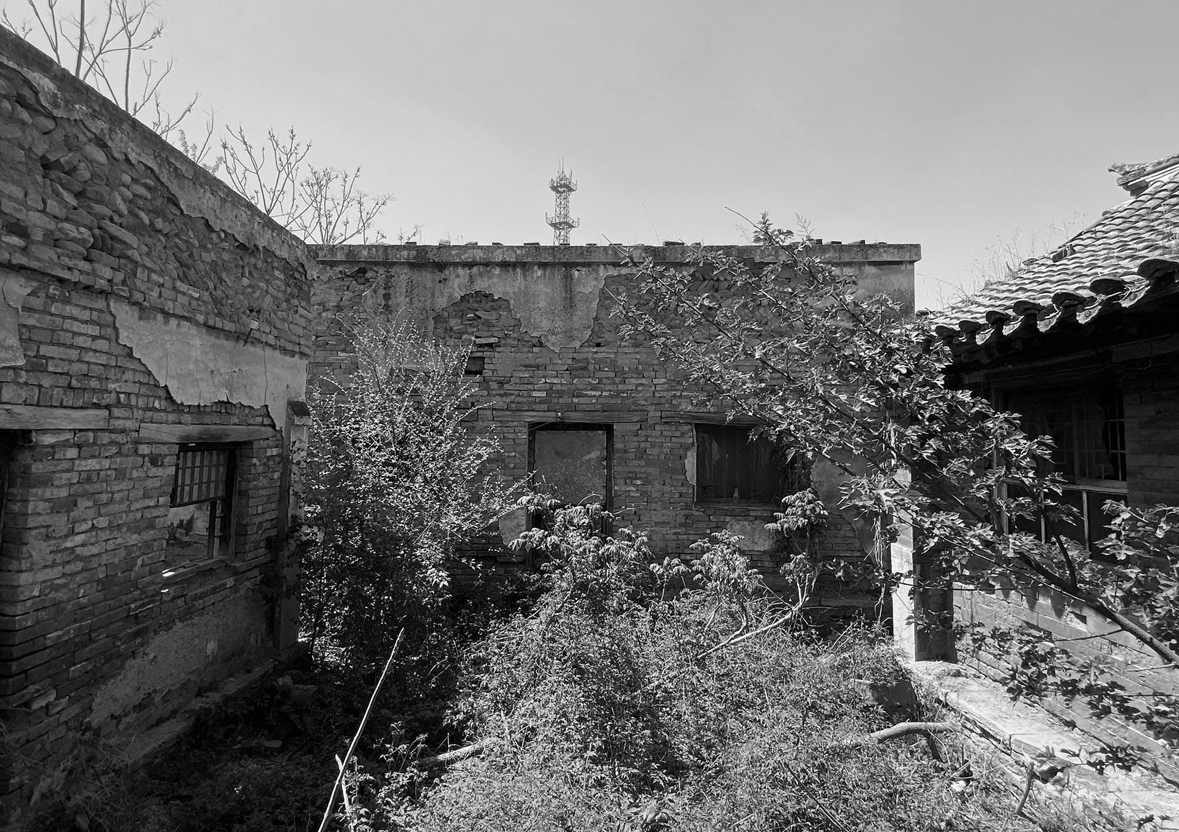 House Over the Wall by Chaoffice - 谷德设计网