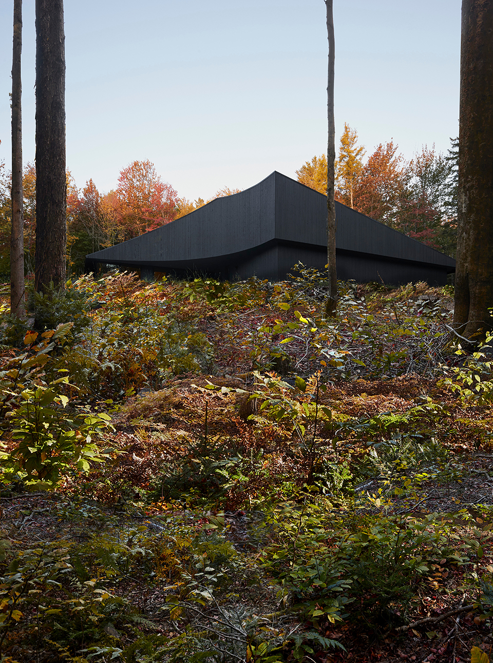 MEV Cabin by Jean Verville architectes - 谷德设计网