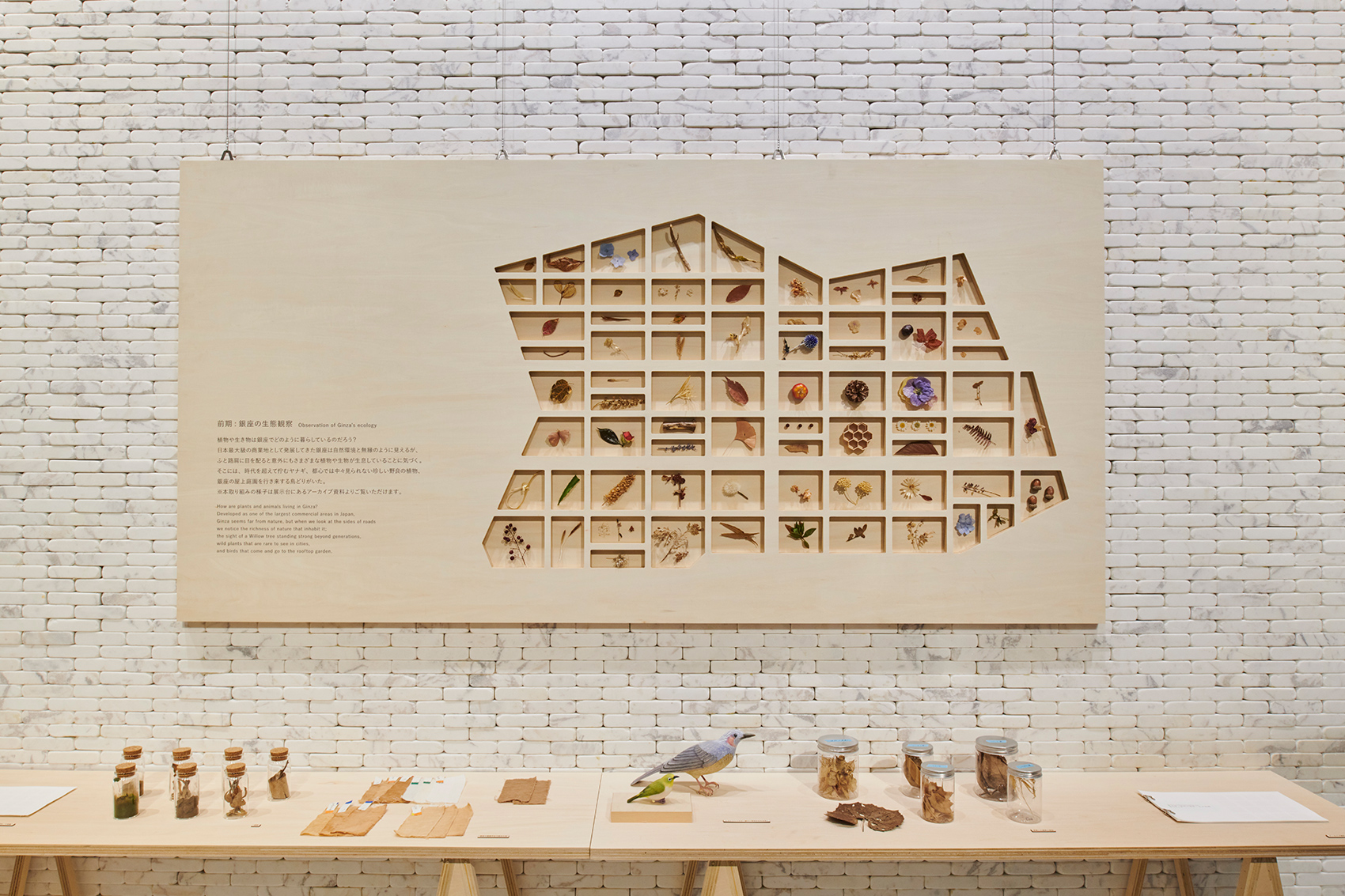 Ginza Ecological Map By HAKUTEN - 谷德设计网
