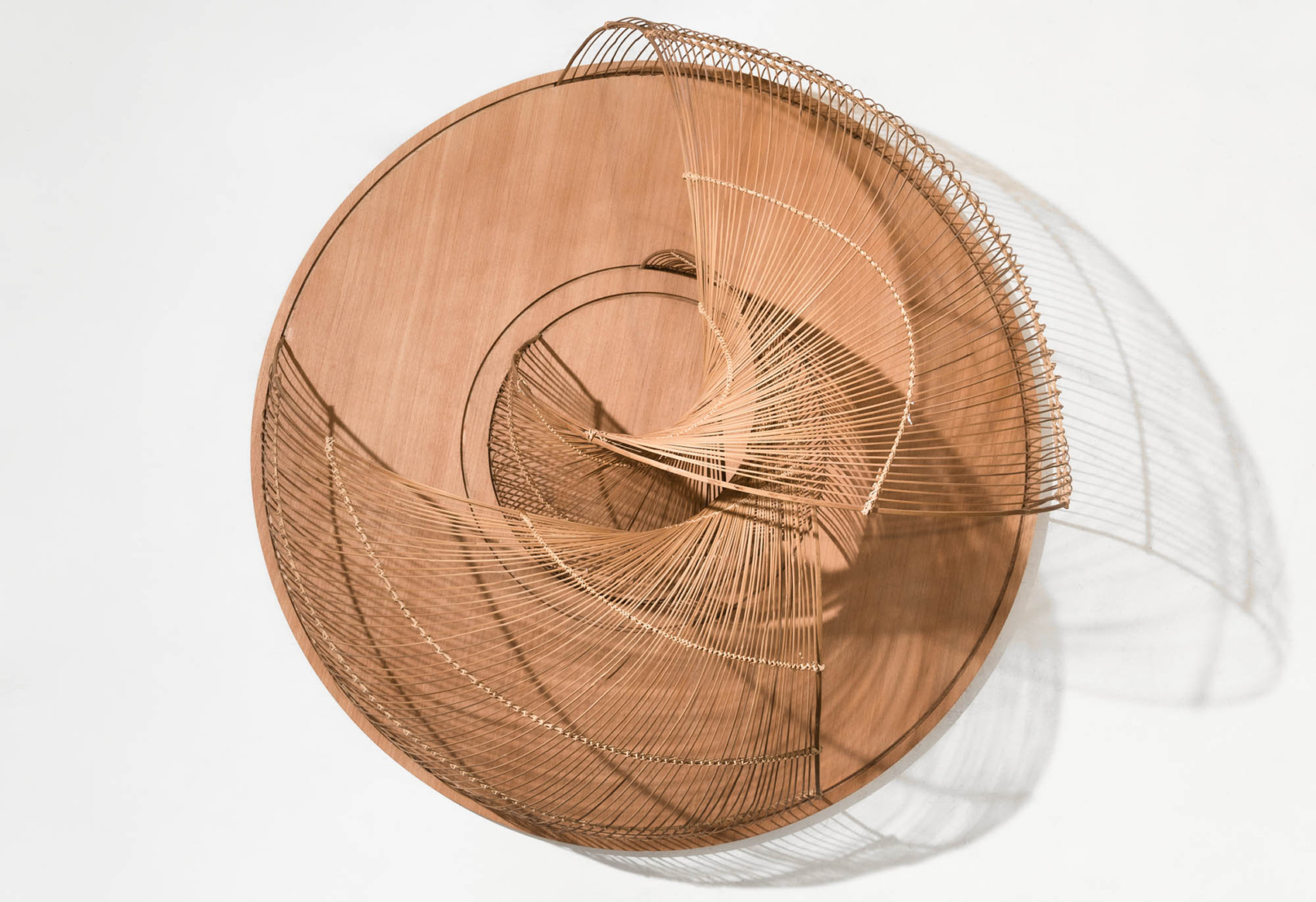 Hedgehog’s Dilemma By MARS Studio - 谷德设计网