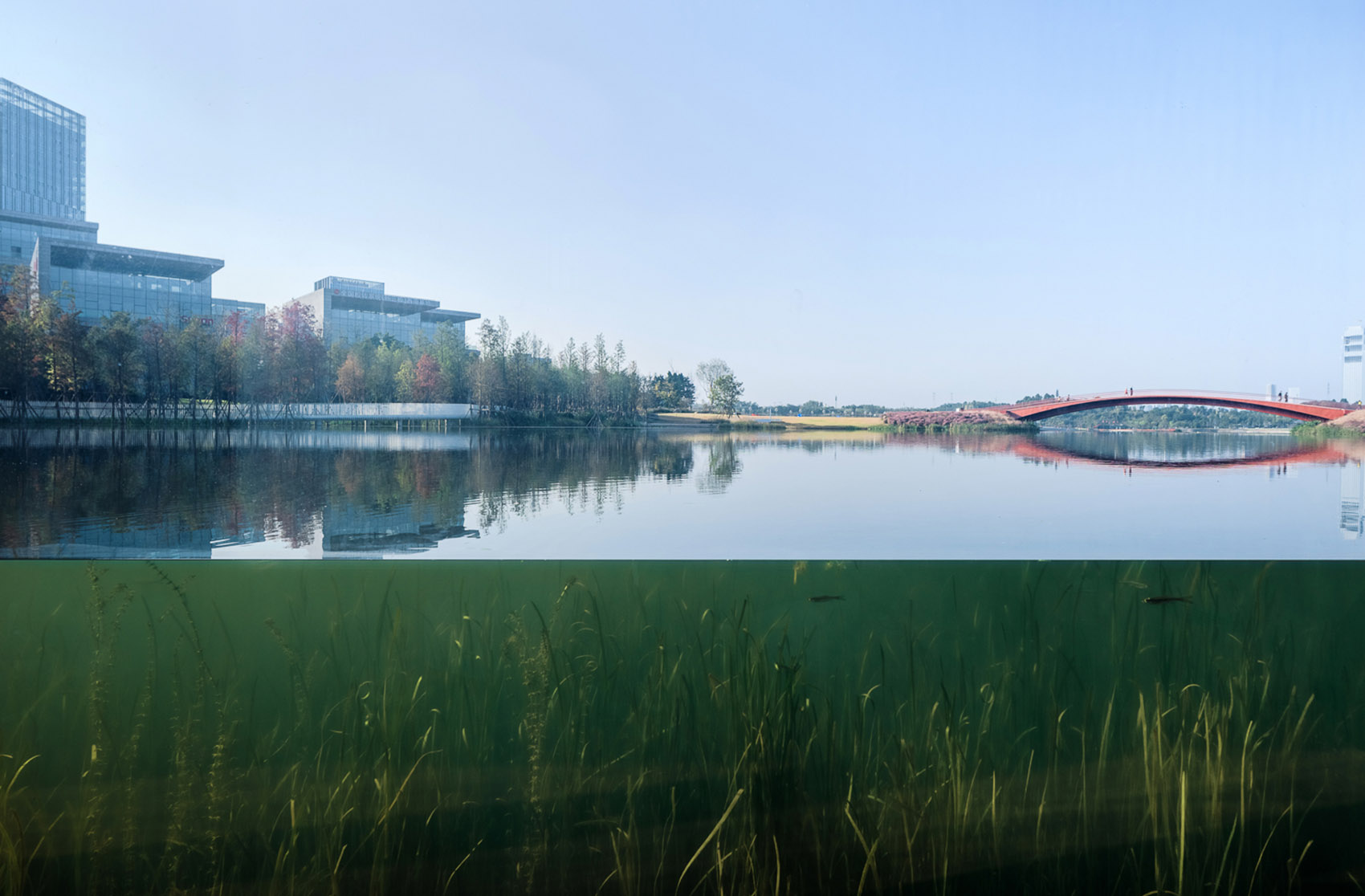 Xinglong Lake · Lakeside Woods Library by Yudao Landscape Design - 谷德设计网