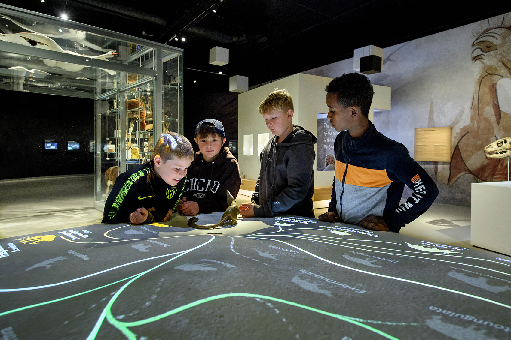 Dinosaur Extinction as Well as Human Origins Exhibition At Stevns Klint ...