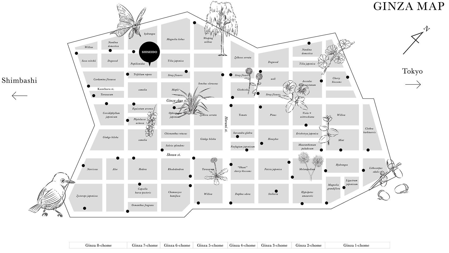 Ginza Ecological Map By HAKUTEN - 谷德设计网