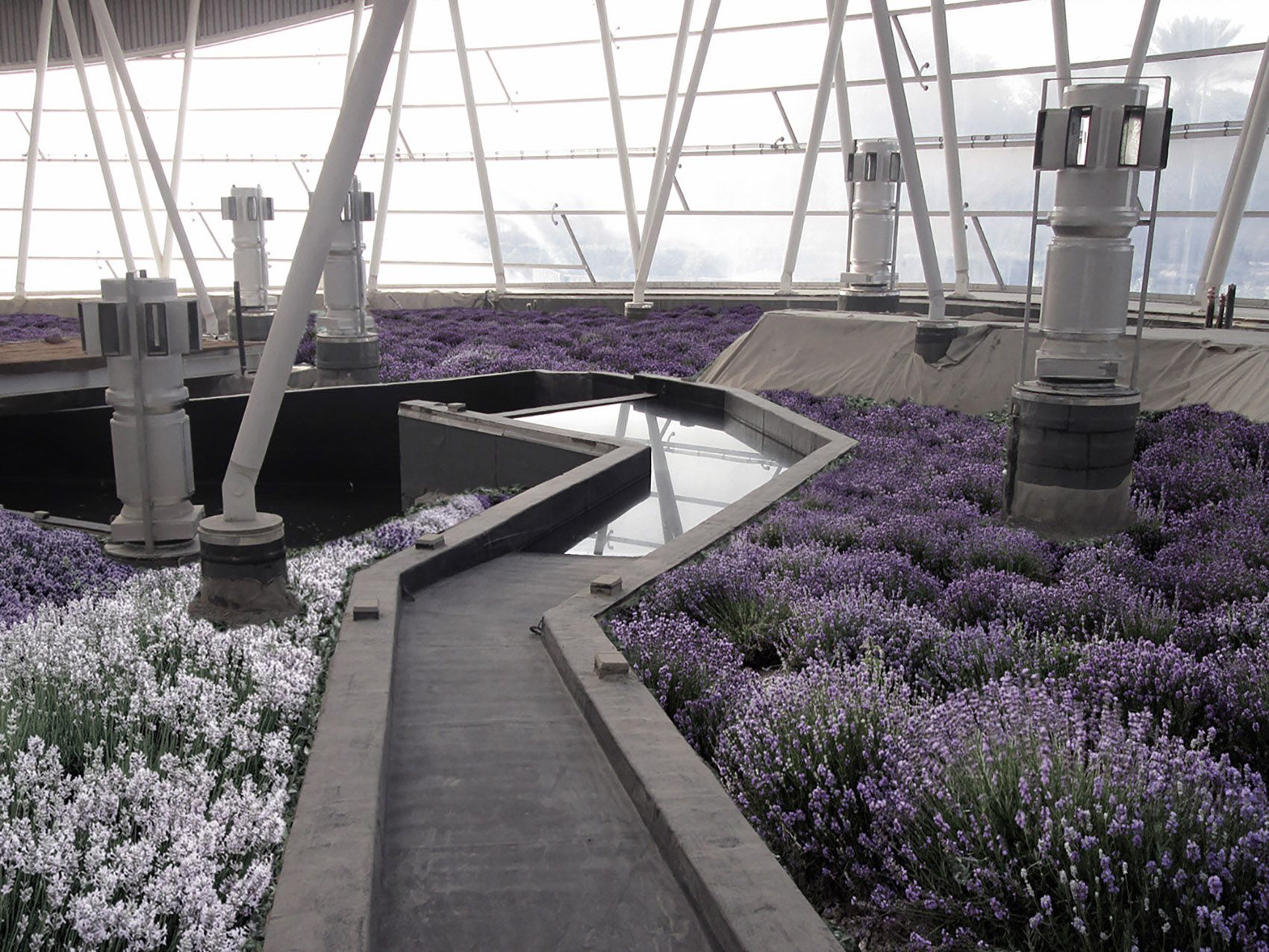 Tri-climatic Biosphere, Abu Dhabi, UAE by Leeser Architecture - 谷德设计网