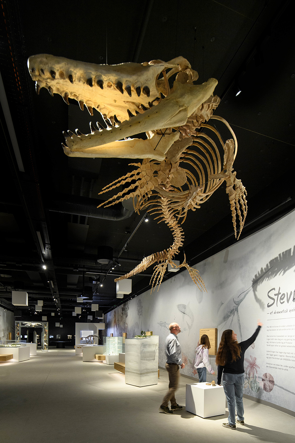 Dinosaur Extinction as Well as Human Origins Exhibition At Stevns Klint ...