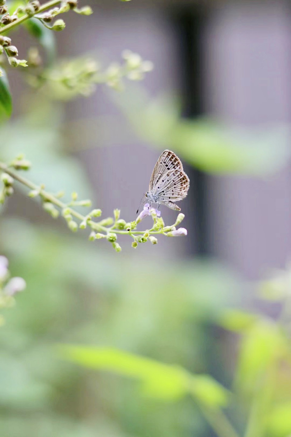 Landscape Design of ‘klee klee & friends’, Shanghai by Possibilism ...