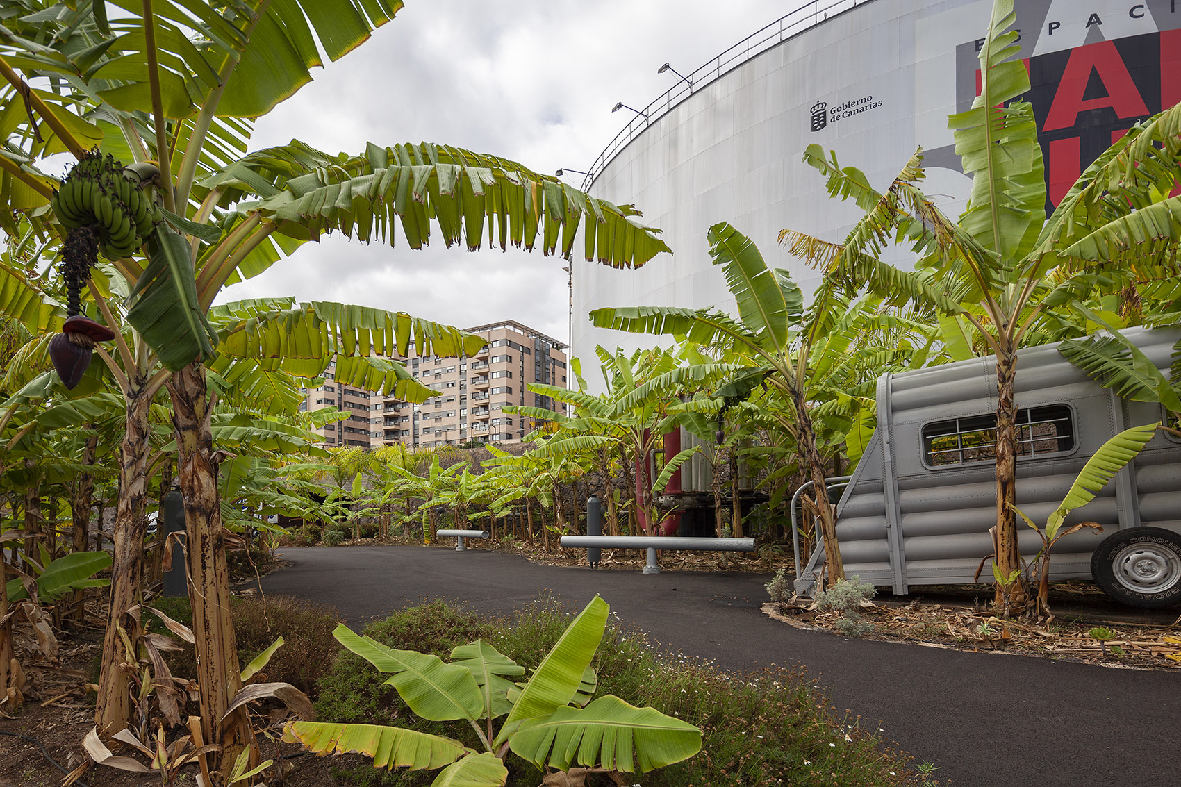 El Tanque Garden by Fernando Menis Architects - 谷德设计网