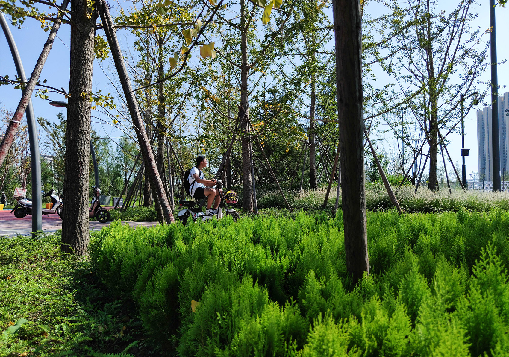 LOHAS Garden, China by Shanghai LDG Urban Landscape Design Group - 谷德设计网
