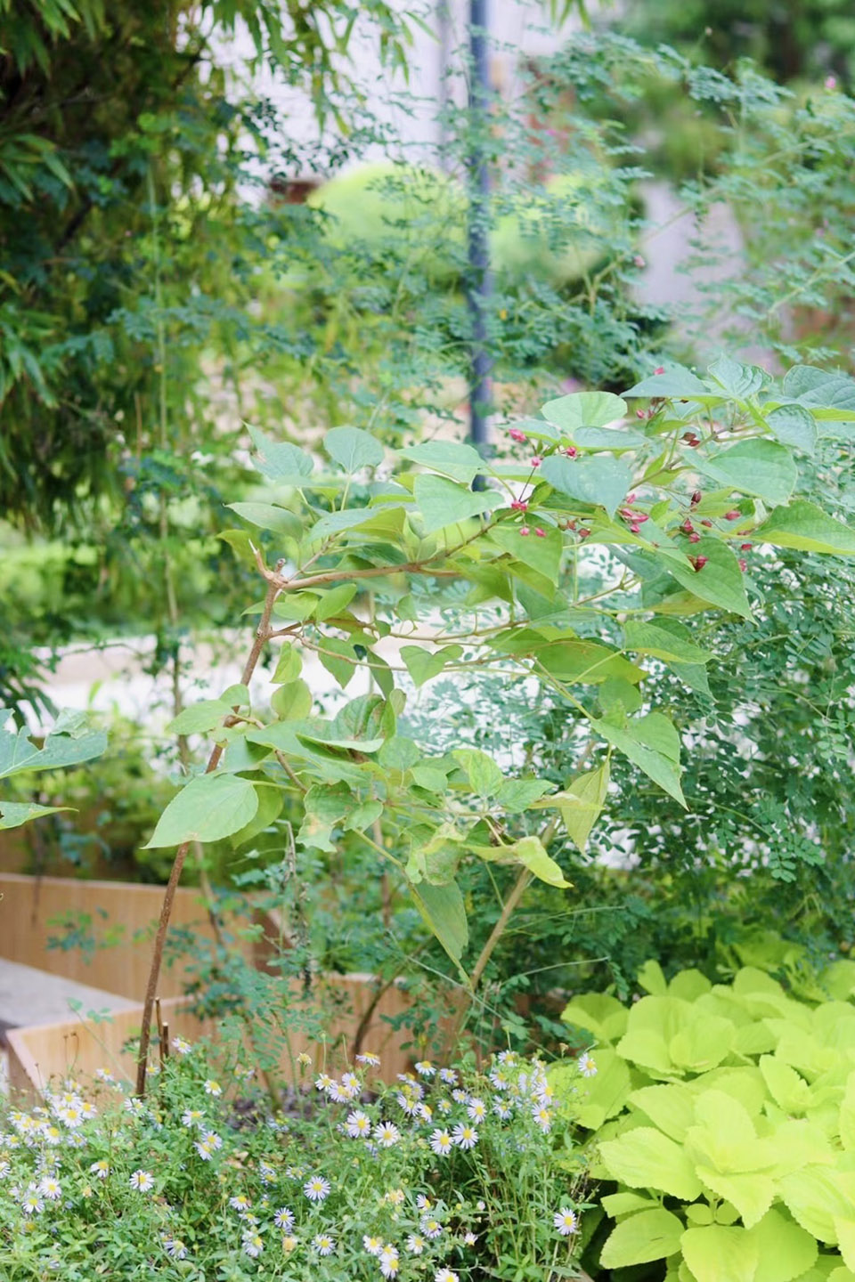 Landscape Design of ‘klee klee & friends’, Shanghai by Possibilism ...