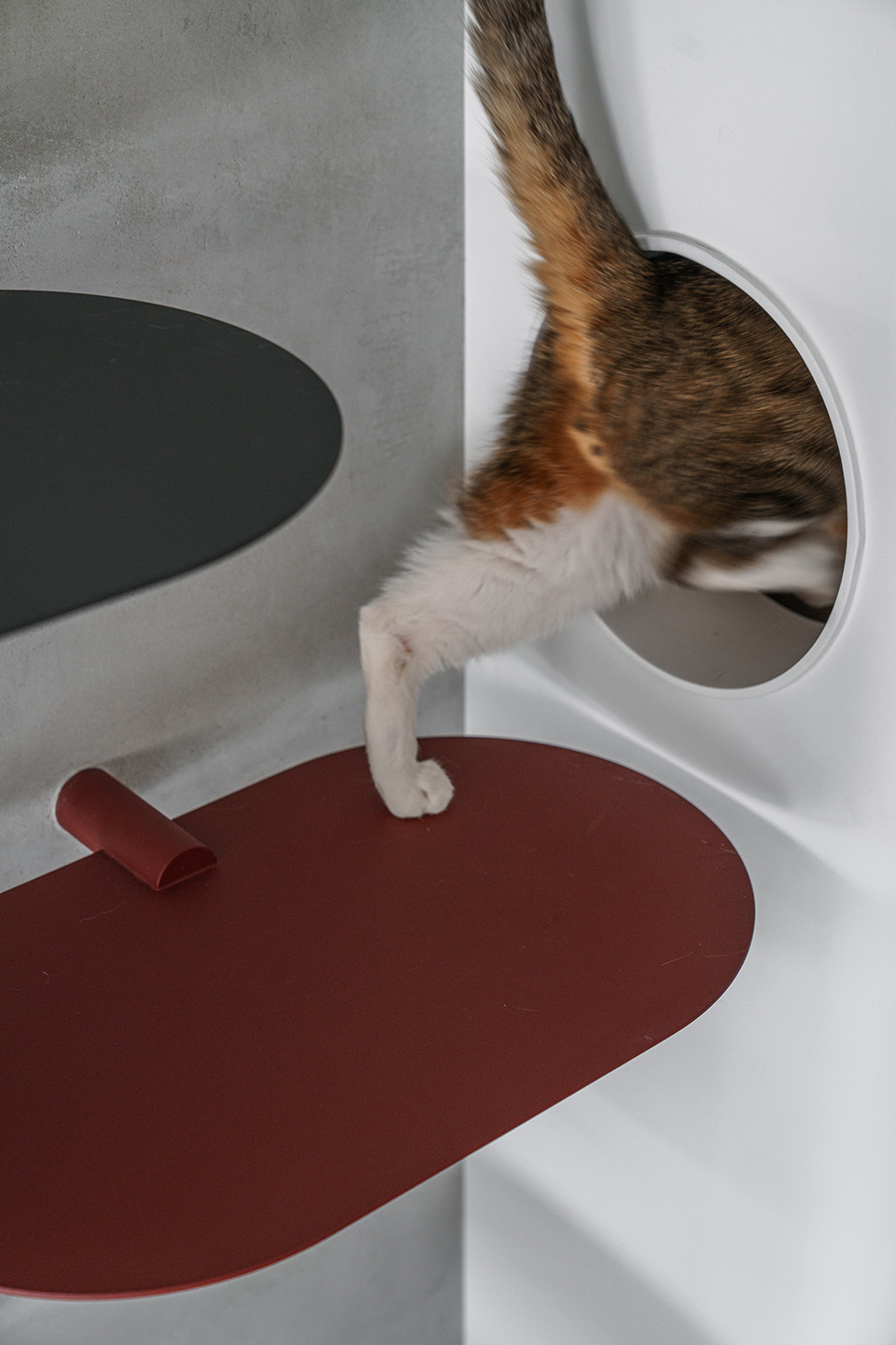 A Path Amongst Cats Residence By AODA InteriorDesign - 谷德设计网