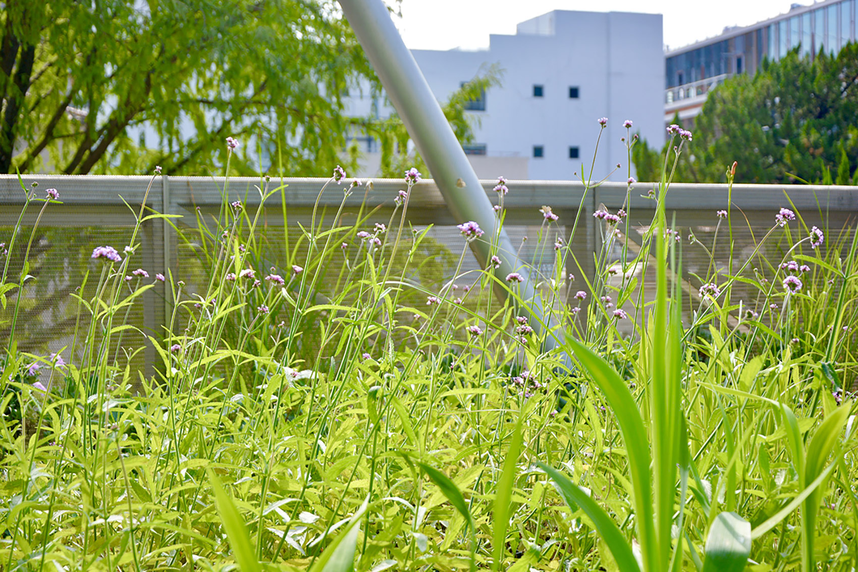 Landscape Design of ‘klee klee & friends’, Shanghai by Possibilism ...