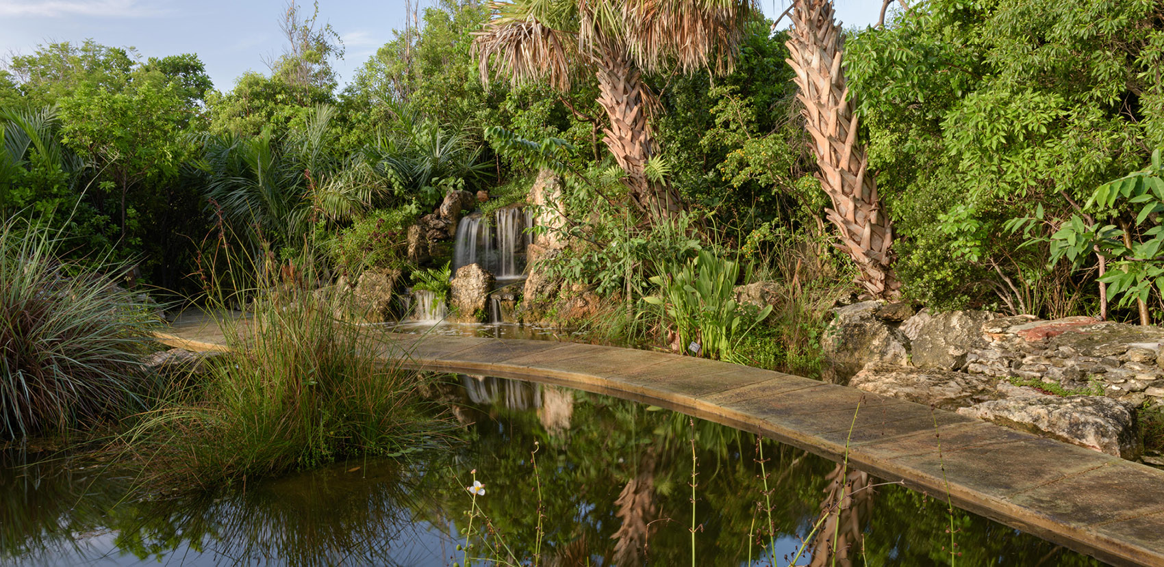 2021 ASLA GENERAL DESIGN AWARD OF HONOR: The Leon Levy Native Plant ...