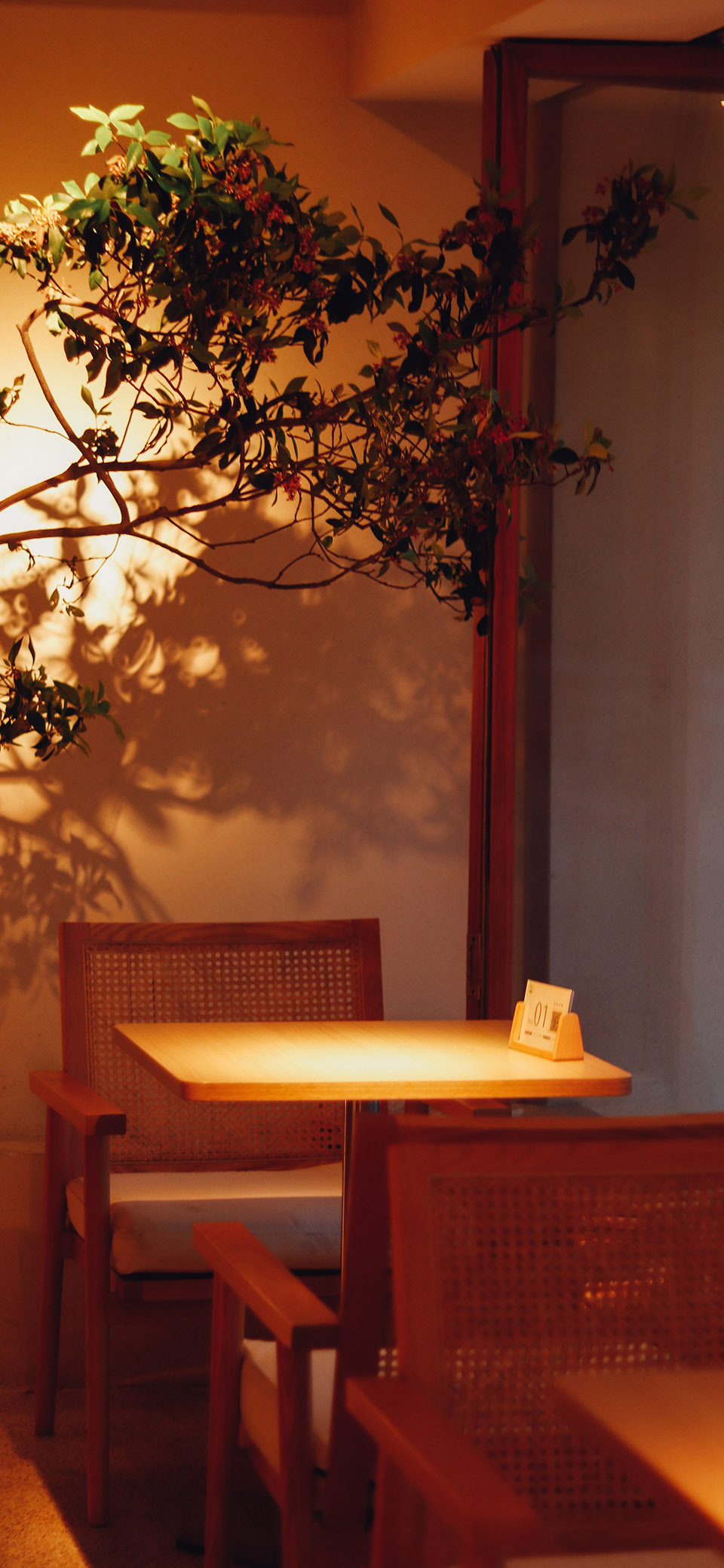 The Mountain 1/2 Cafe by AUAD - 谷德设计网