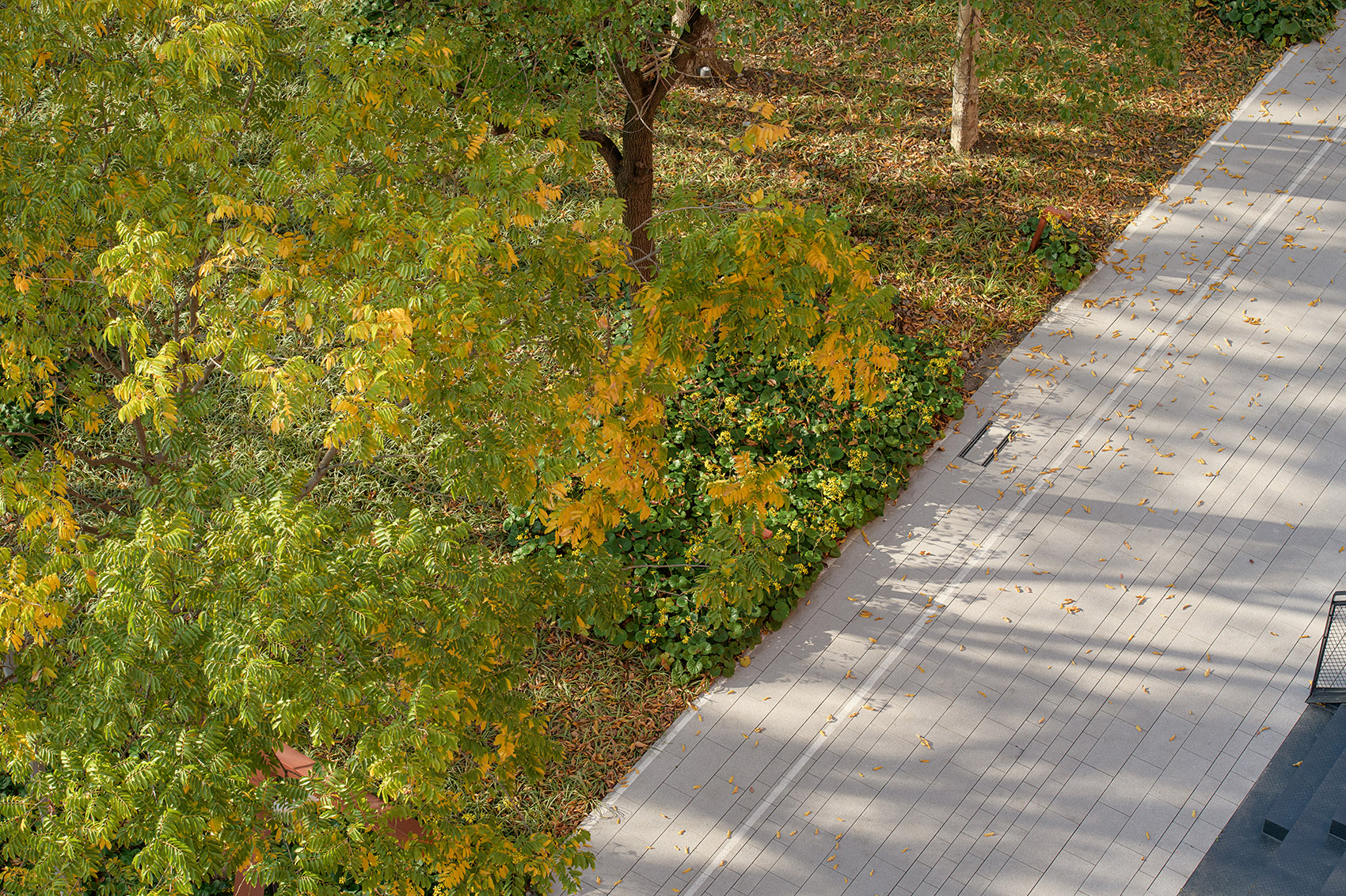 Rubber Factory Park – Vi PARK, China by Atelier Scale - 谷德设计网